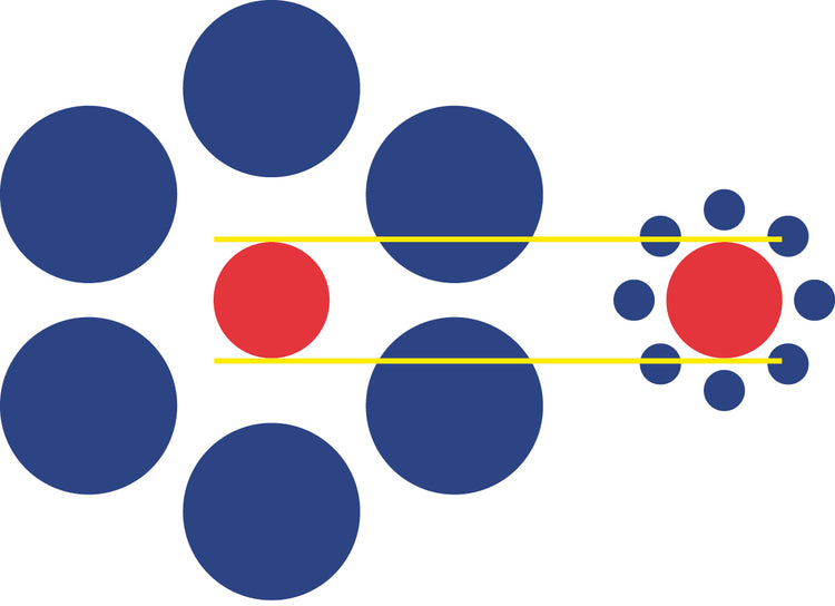 Optical Illusions – What on Earth! Magazine