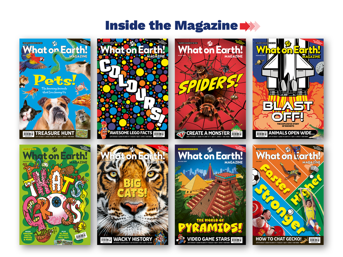 What on Earth! Magazine